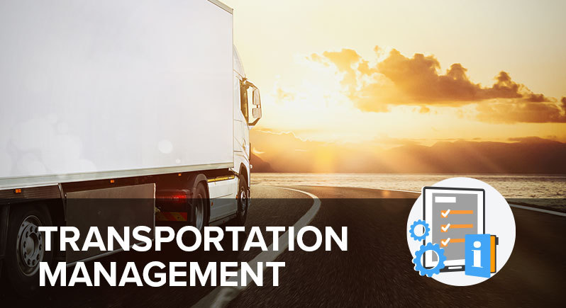 A Complete Guide To Understanding The Delivery Document - Vector